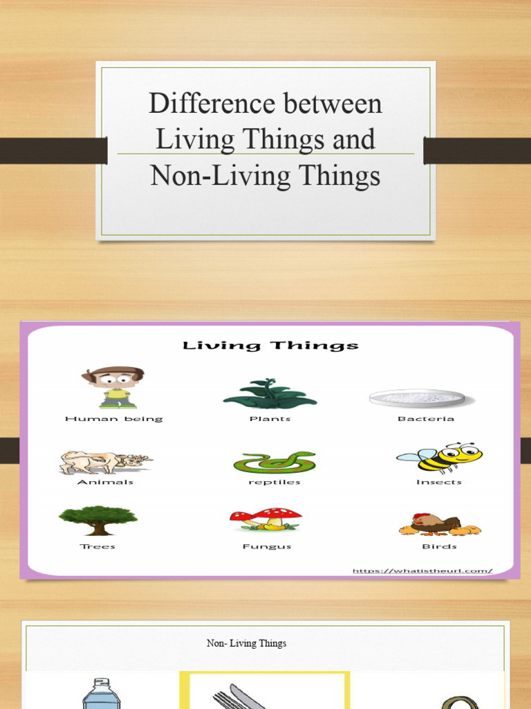 Living vs Non-Living Things Explained | PDF