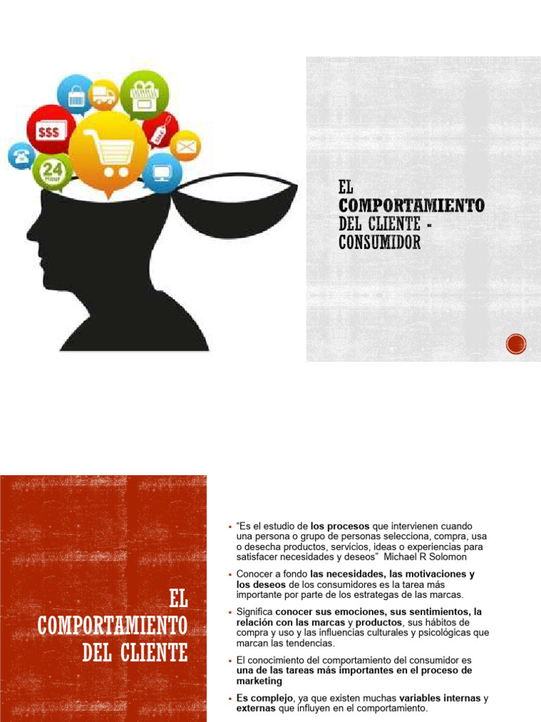 11 - El Comportamiento Del Consumidor | PDF | Comportamiento | Marketing