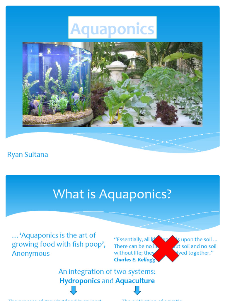 Aquaponics Presentation | Download Free PDF | Aquaponics | Hydroponics Aquaponics Presentation | Download Free PDF | Aquaponics | Hydroponics