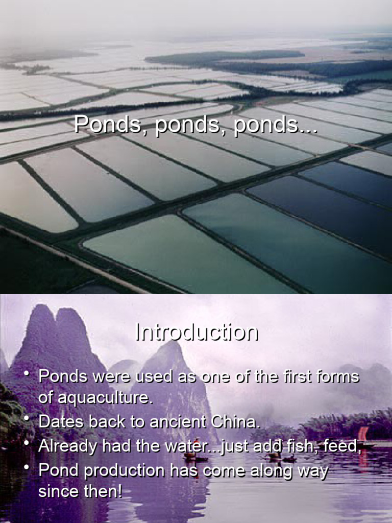 Ponds Constation | PDF | Levee | Pond