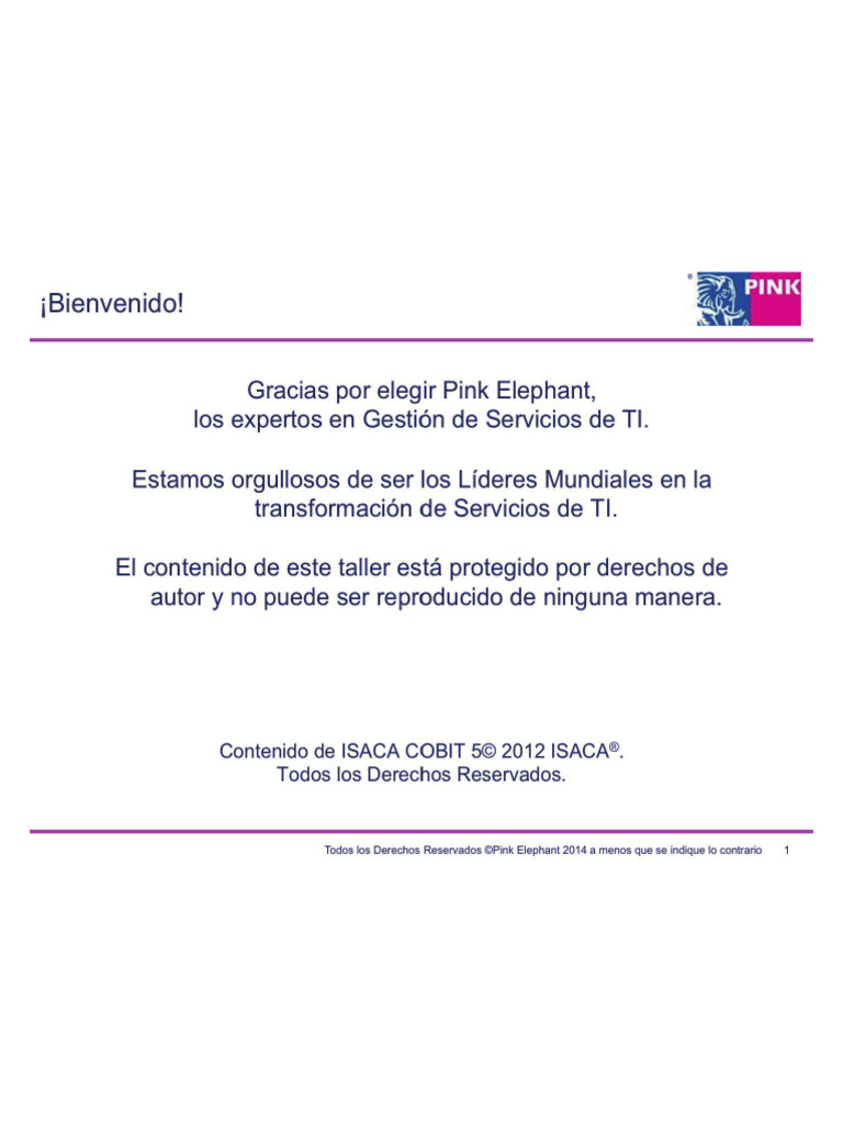 Cobit 5 V3.1.2 | PDF