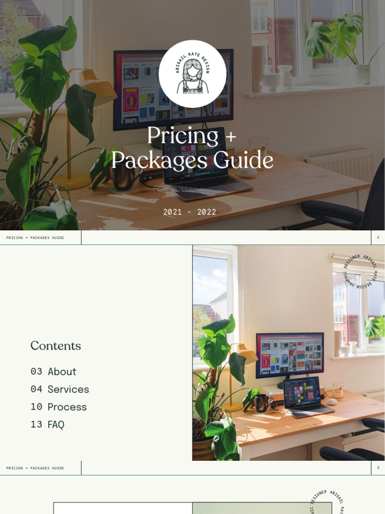 Pricing + Packages Guide | Download Free PDF | Brand | Target Audience