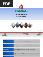 13 Directrices de Cero Tolerencia | PDF | México