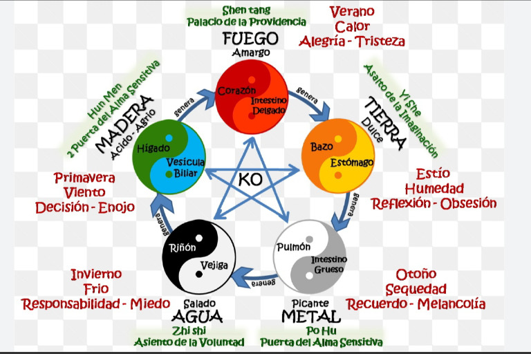 5 Elementos Merfi 8 | PDF