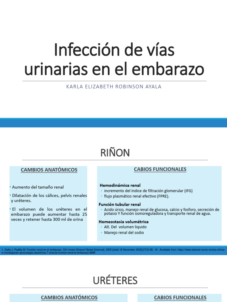 Infecciones Urinarias En El Embarazo Pdf Riñón Sistema Genitourinario