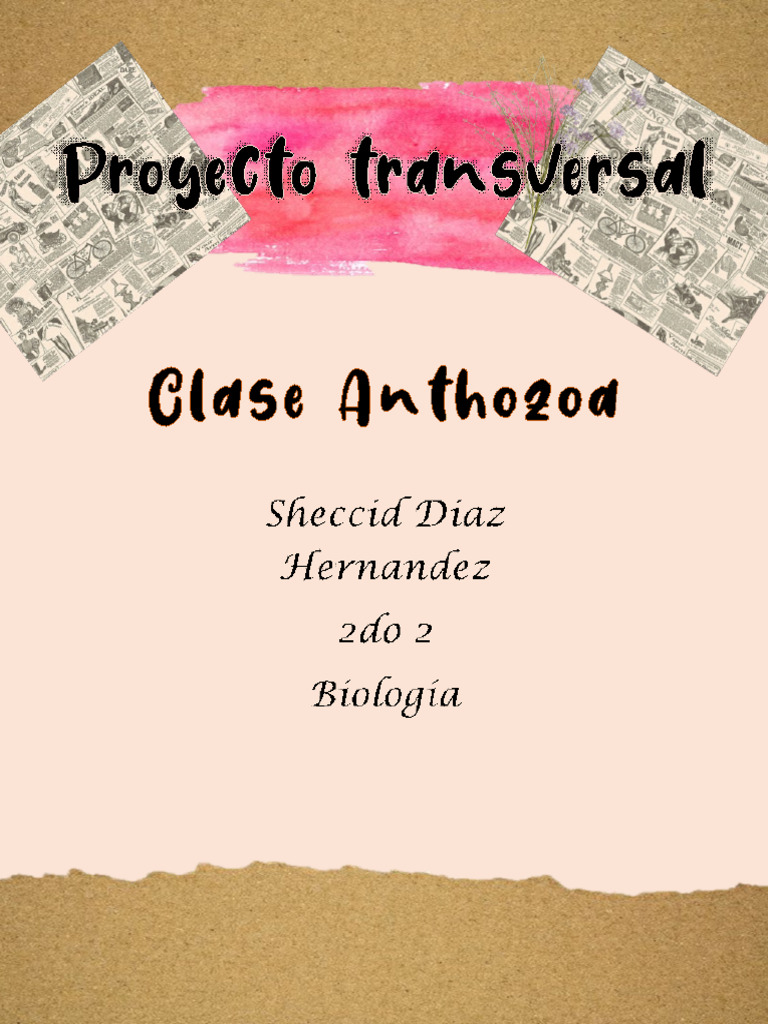Características de los Anthozoa | PDF