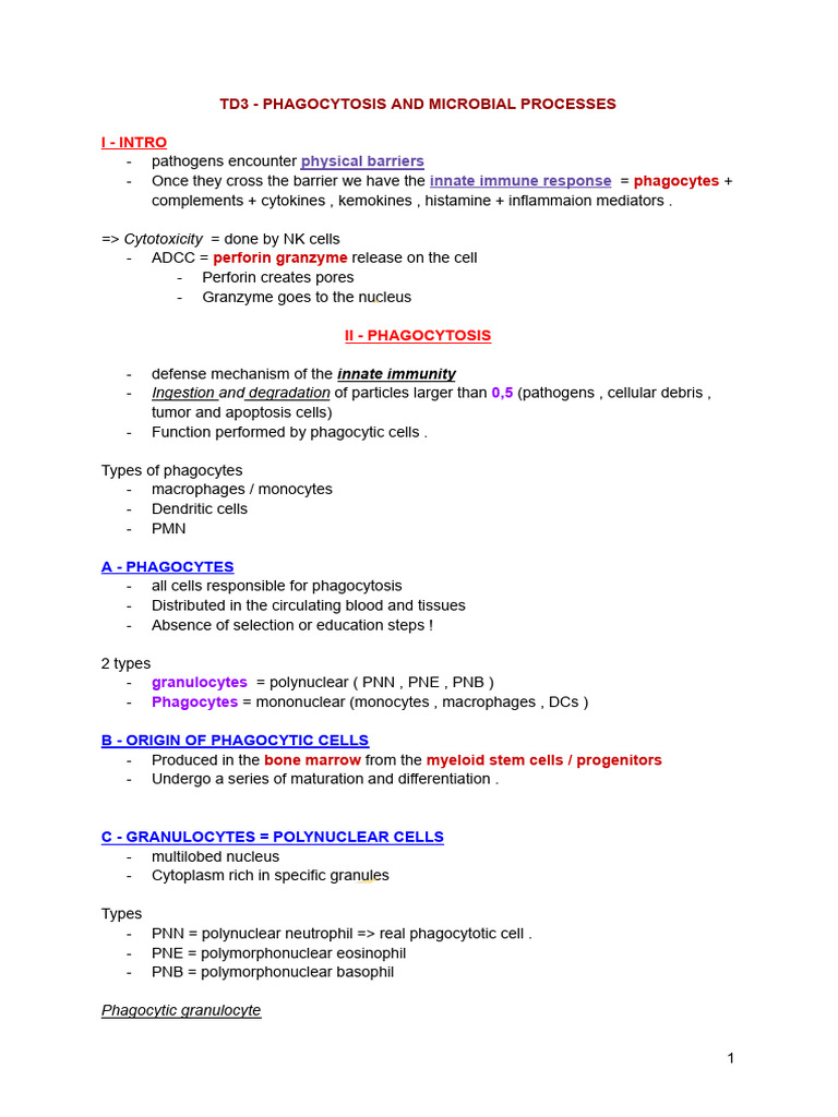 TD3 - Phagocytosis and Microbial Processes 4 | PDF | Granulocyte | Phagocyte
