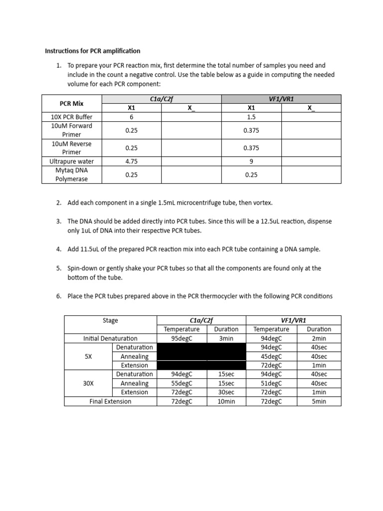 Instructions For PCR Amplification | PDF