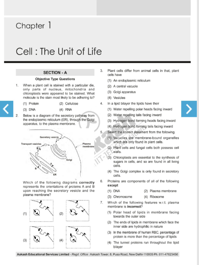 Cell | PDF