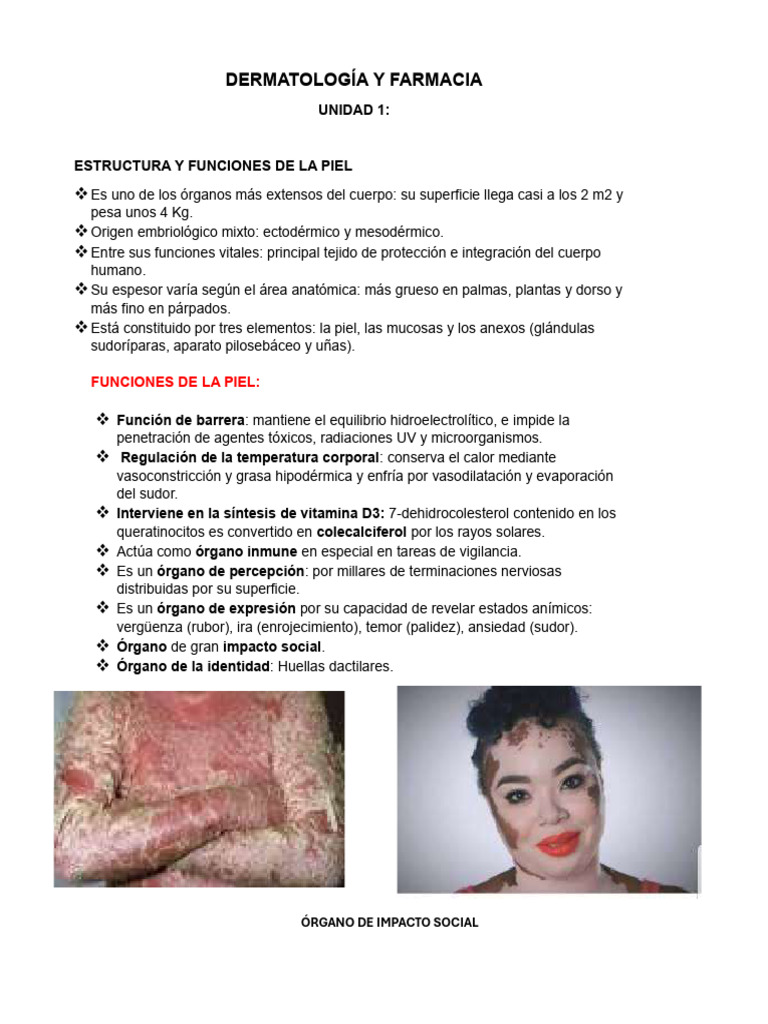 Estructura de Piel | PDF | Piel | Epidermis