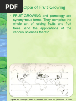 Bearing Habits of Fruit Crops | PDF | Fruit | Nut (Fruit)