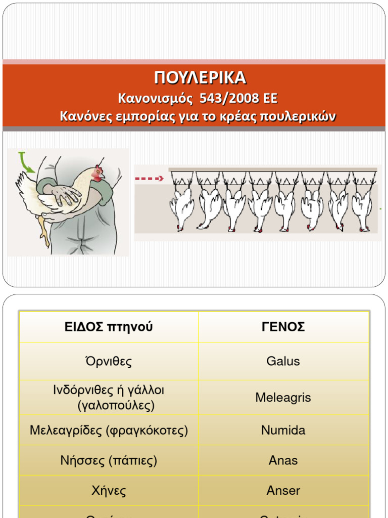 3. ΠΟΥΛΕΡΙΚΑ-ΧΟΙΡΙΝΑ | PDF