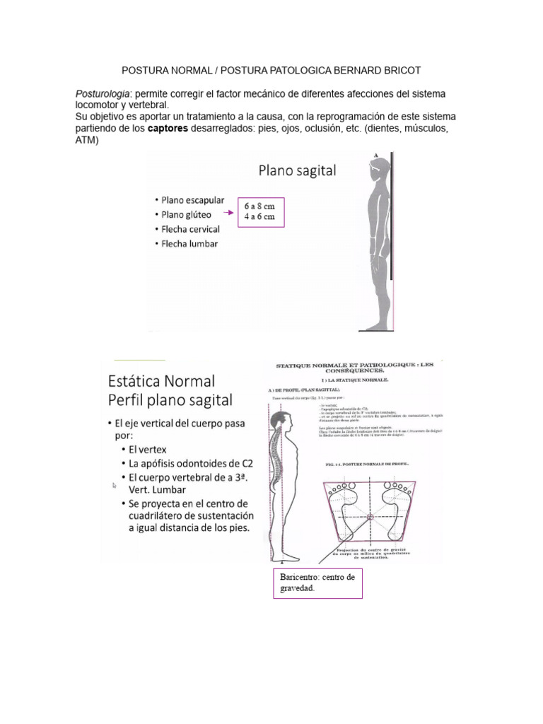 Postura Normal | PDF