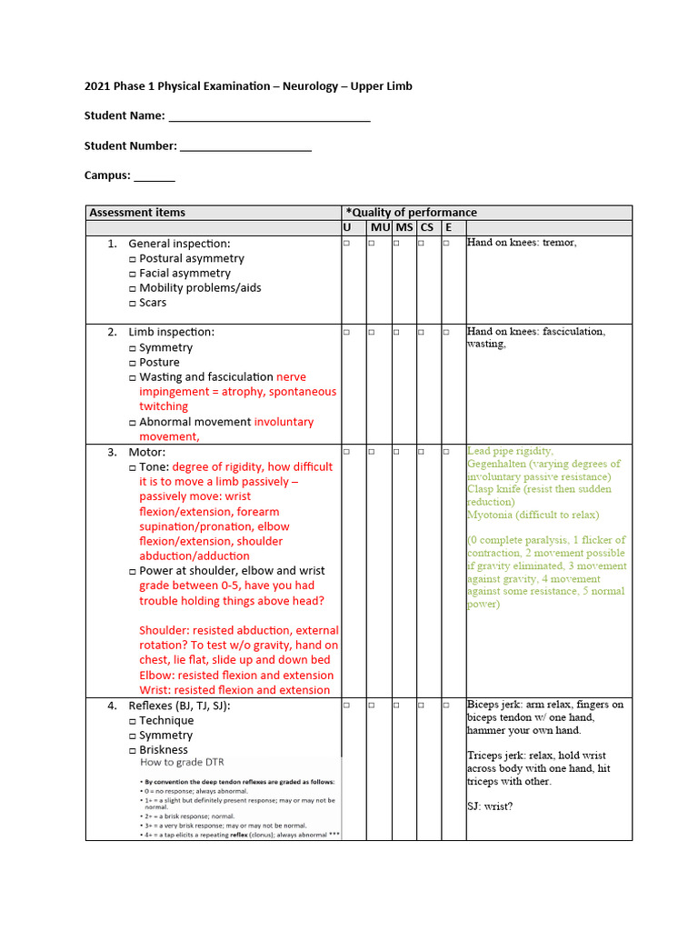 Phase 1 Rubric - Neurology - Upper Limb - 2021 Student | PDF ...