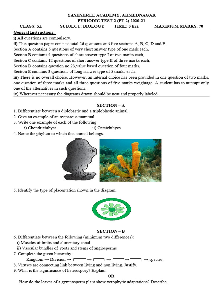 Class Xi Biology 2017 | Download Free PDF | Plant Stem | Infection