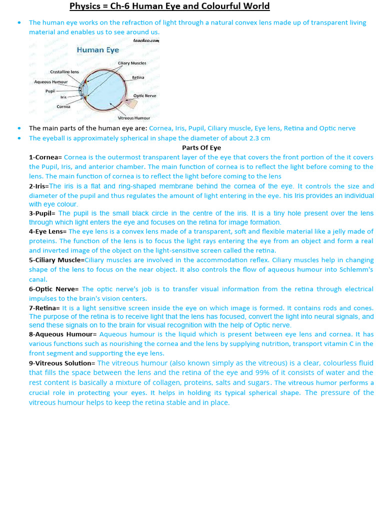 Physics | PDF | Eye | Human Eye