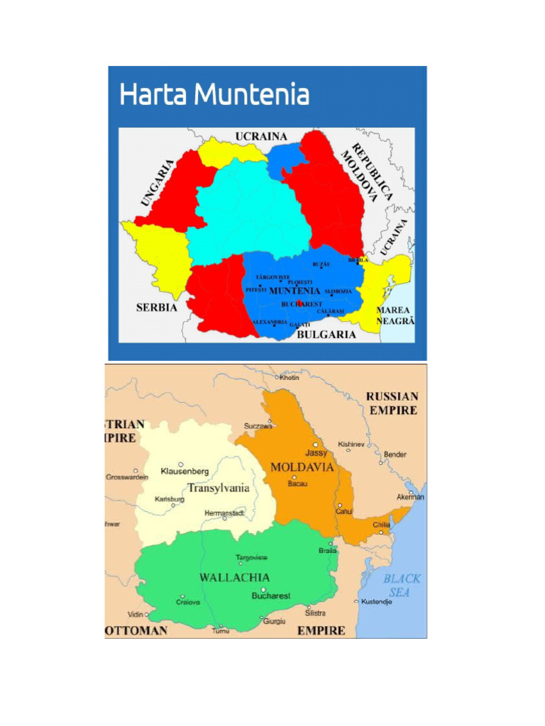 Poze Proiect Ed Sociala | PDF