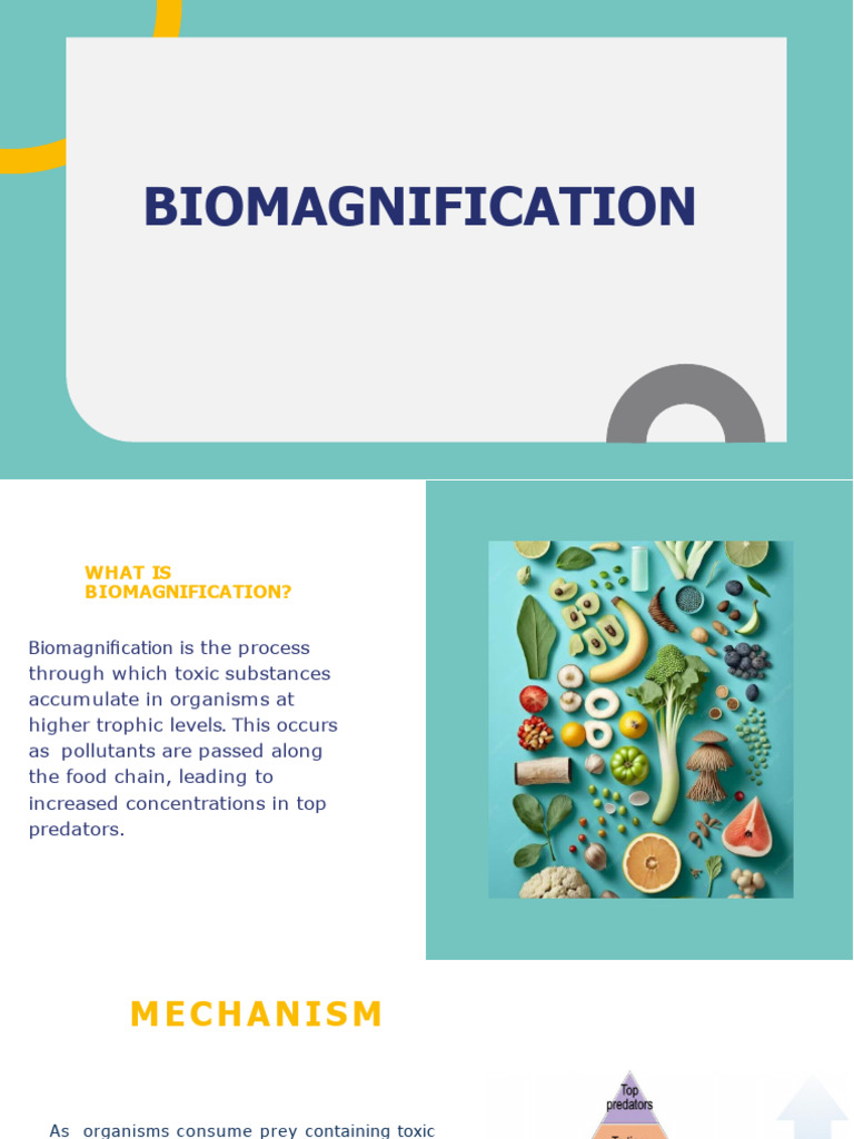 BIOMAGNIFICATION | PDF