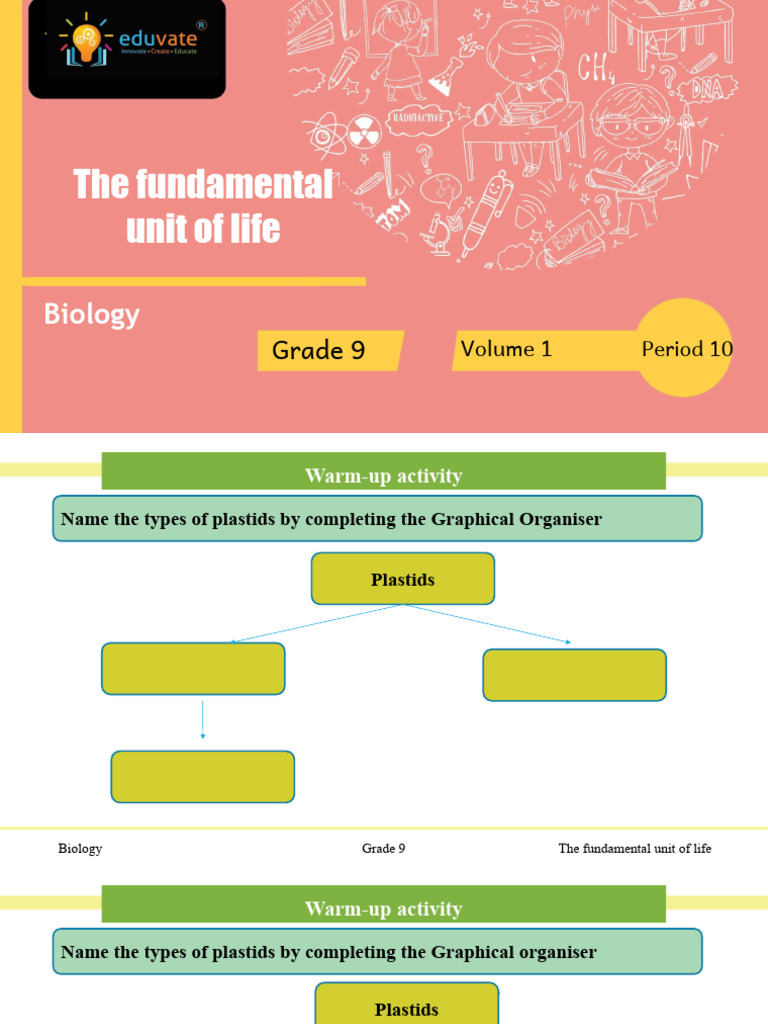 Onion Peel Cell Activity for Grade 9 | PDF | Cell (Biology) | Staining