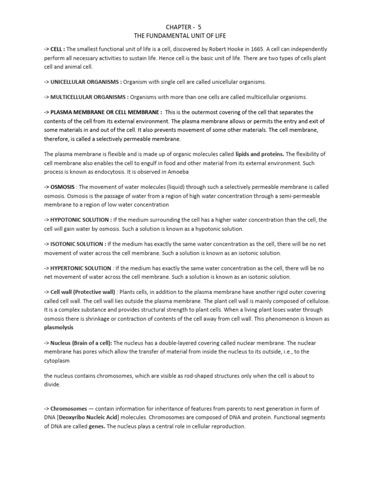 cls9 cp5 | PDF | Endoplasmic Reticulum | Cell (Biology)