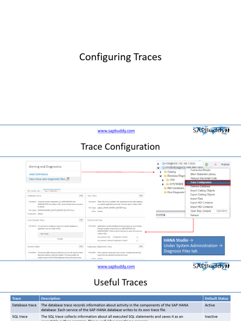 SAP HANA Trace Configuration Guide | PDF | Databases | Sql