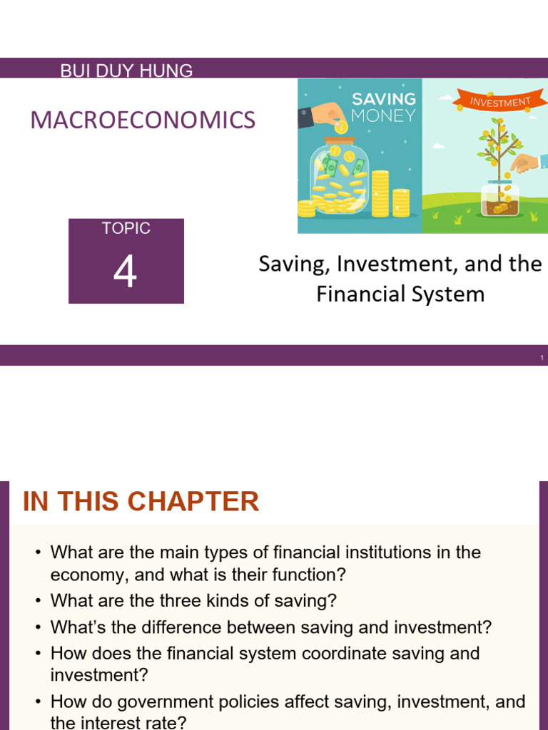 Saving and Investment in Finance Systems | PDF | Stocks | Government ...