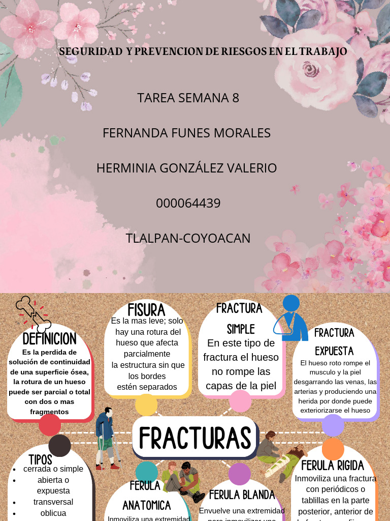 Colorful Modern Mind Map Graph_compressed | PDF | Hueso | Anatomía