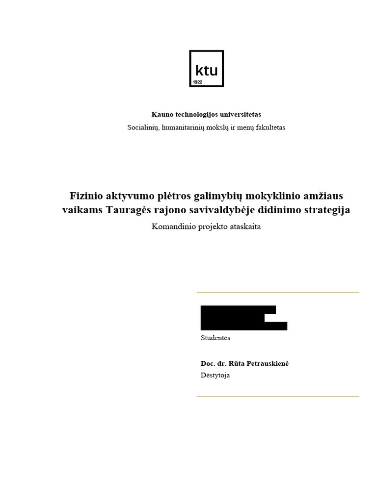 Komandinio Projekto Ataskaitos Pavyzdys | PDF