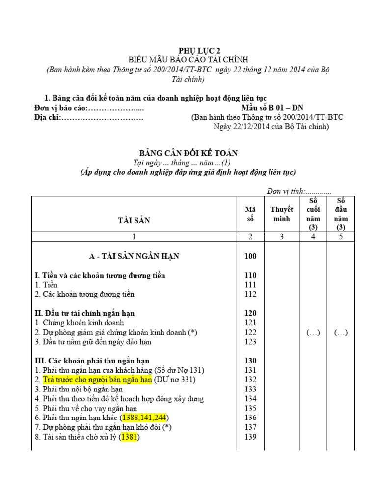 Mau BCTC-tieng Viet | PDF