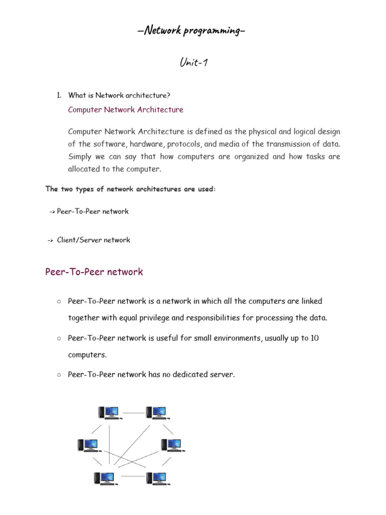 Network Programming | PDF | World Wide Web | Internet & Web