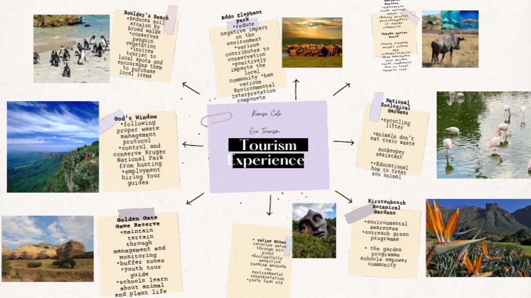 Mindmap | PDF | Environmental Conservation | Economy And The Environment