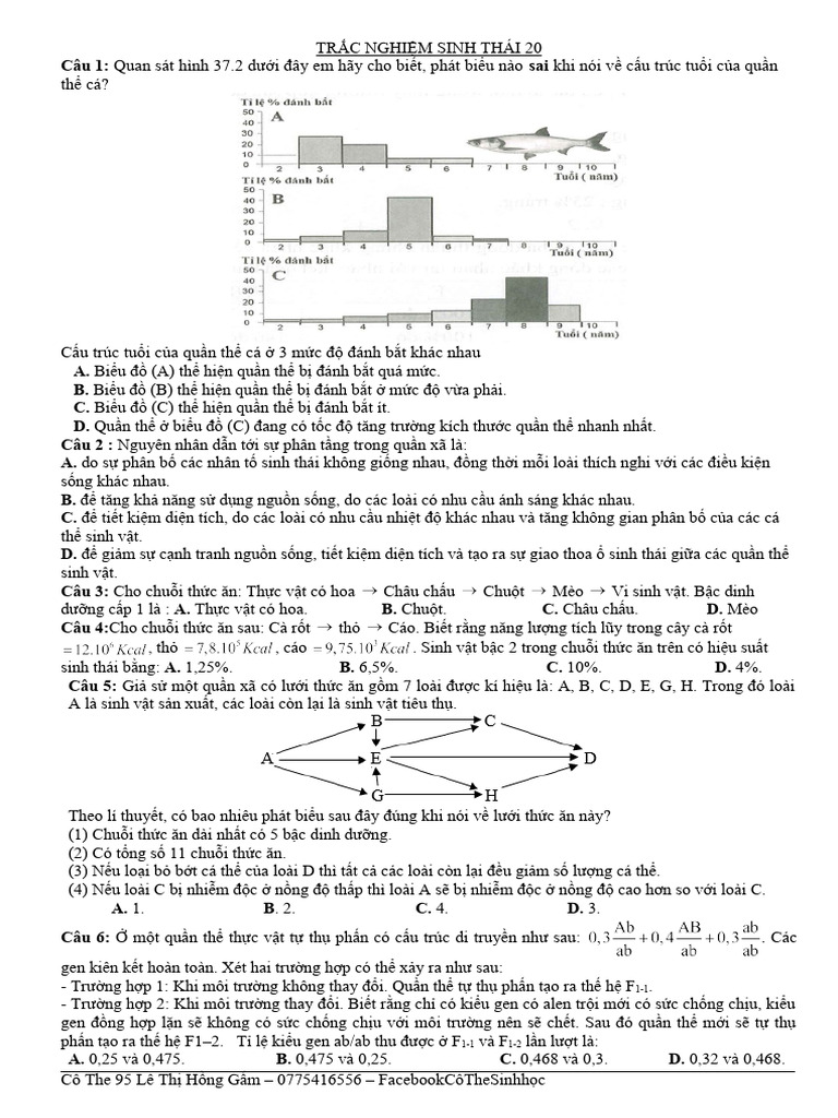 TN Sinh Thái 20 | PDF