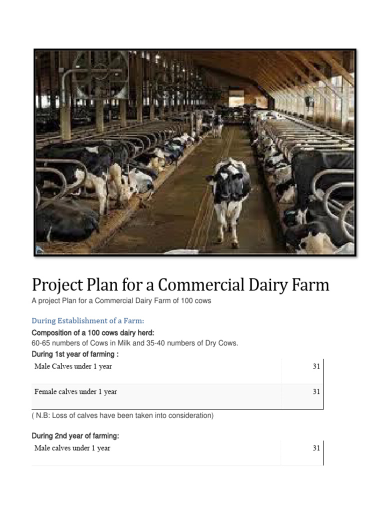 Project Plan For A Commercial Dairy Farm of 100 Cows Dairy Herd | PDF ...