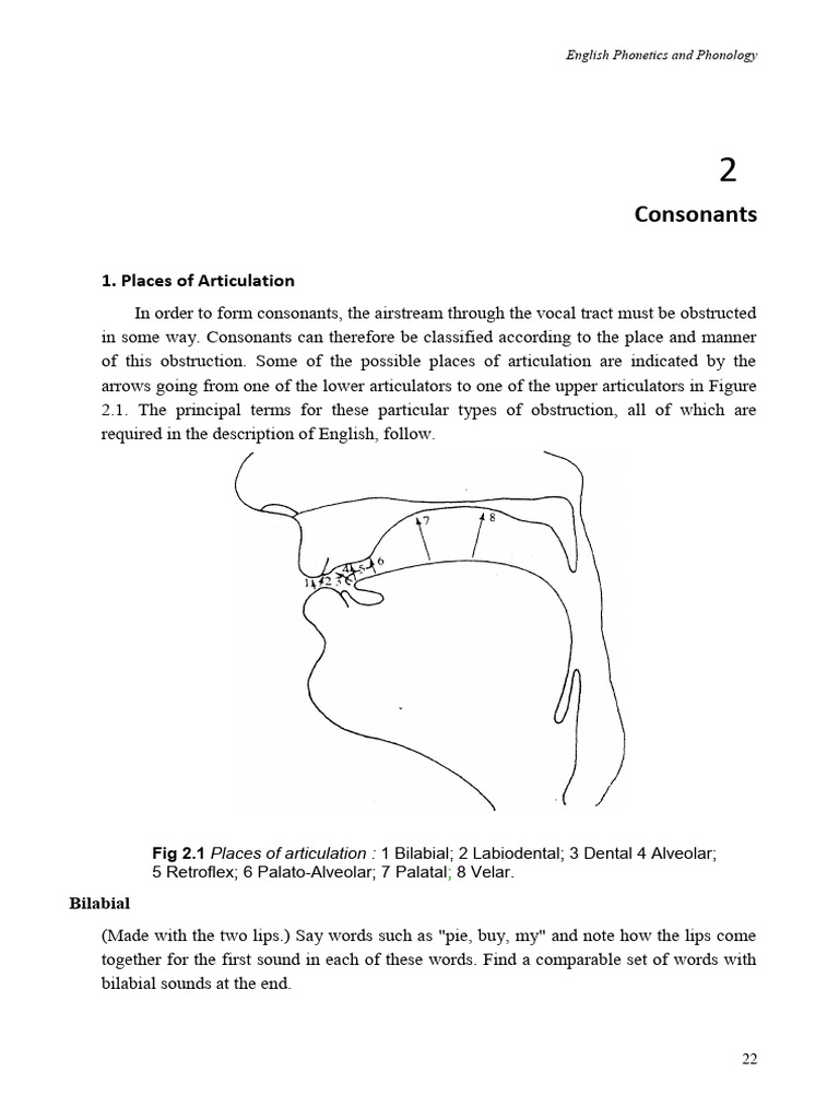 English Consonants: Articulation Guide | PDF | Phonetics | Consonant