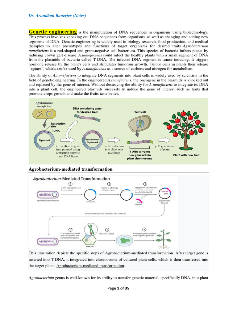 Module 4_rdt | PDF | Plasmid | Virus