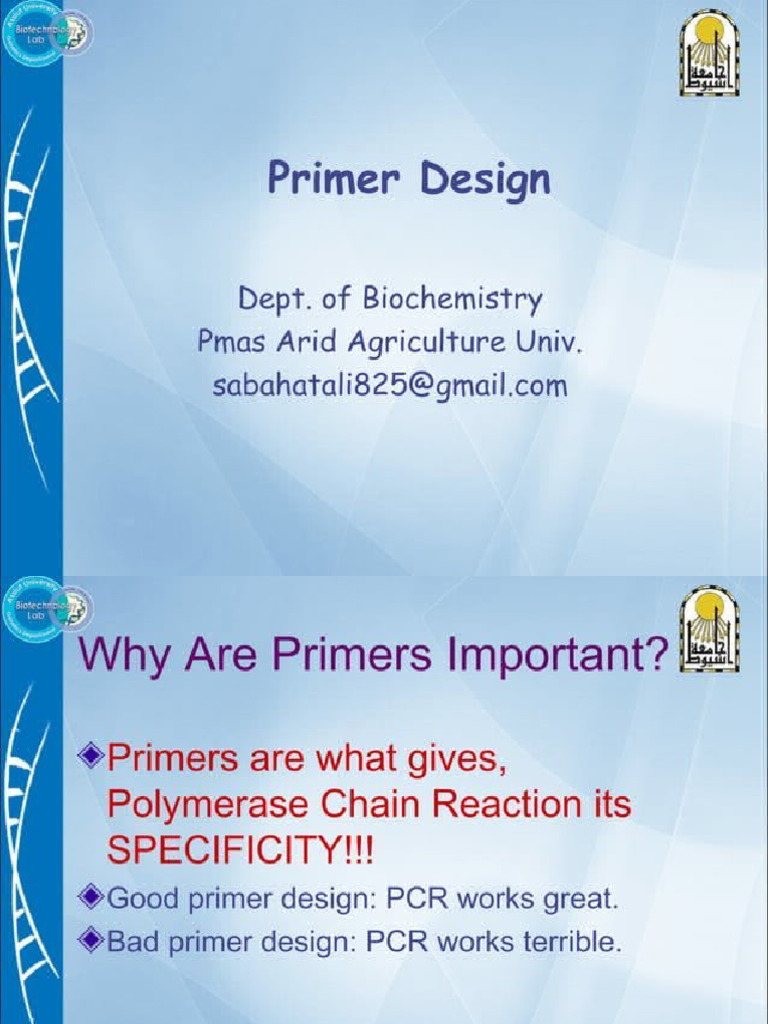 Primer design | PDF