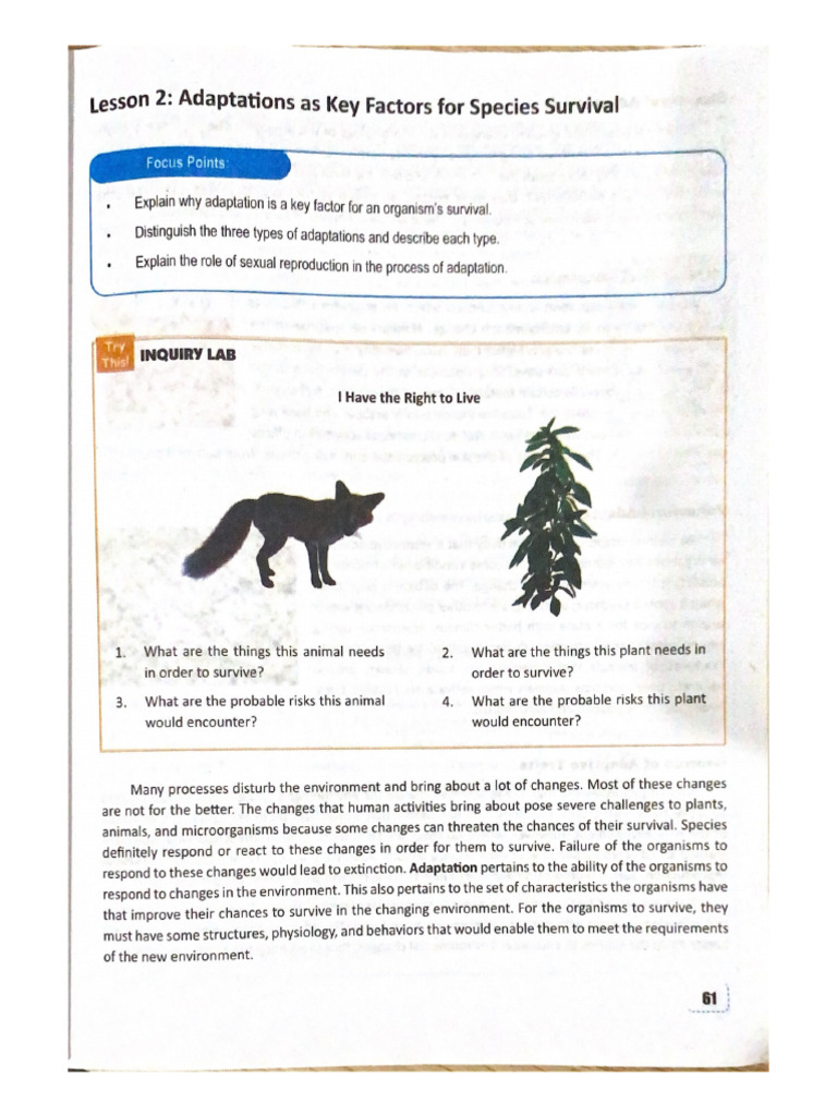 Lesson 2 Adaptations As Key Factors For Species Survival | PDF