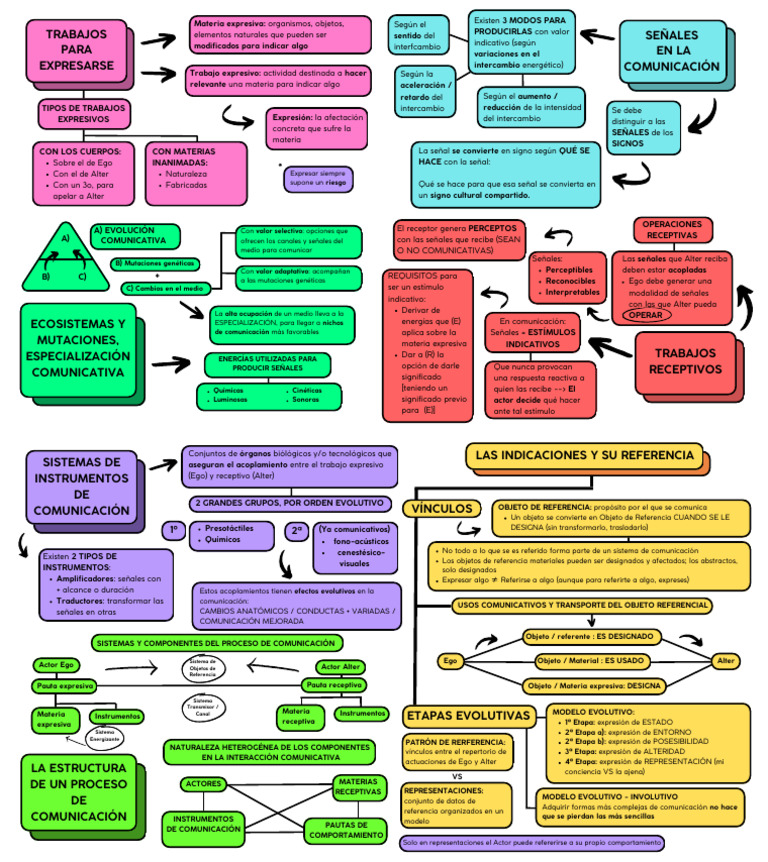 Mapa Conceptual T de La Comunicación 2 - Martín Cervera | PDF | Evolución | Importar