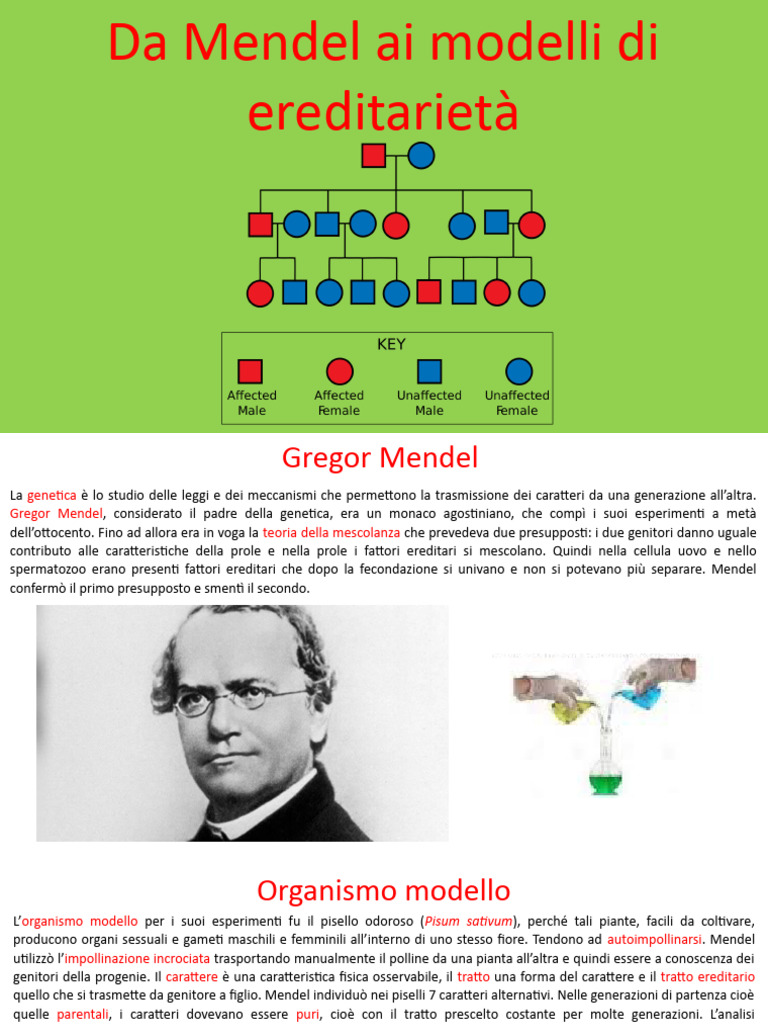 Da Mendel Ai Modelli Di Ereditarietã Pdf