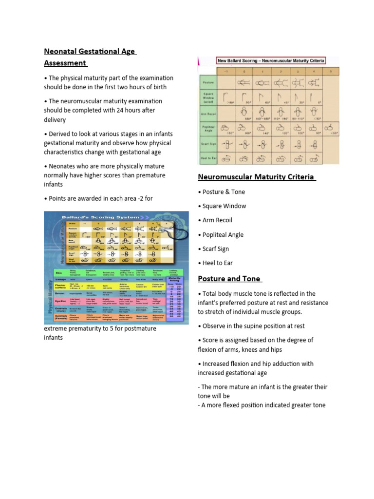 Neonatal Gestational Age Assessment | PDF | Anatomical Terms Of Motion ...