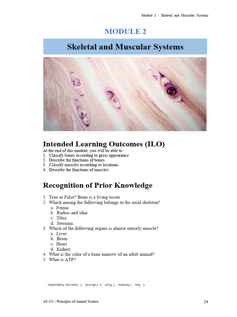 IM AnSci 111 Module 2 1 | PDF | Muscle | Bone