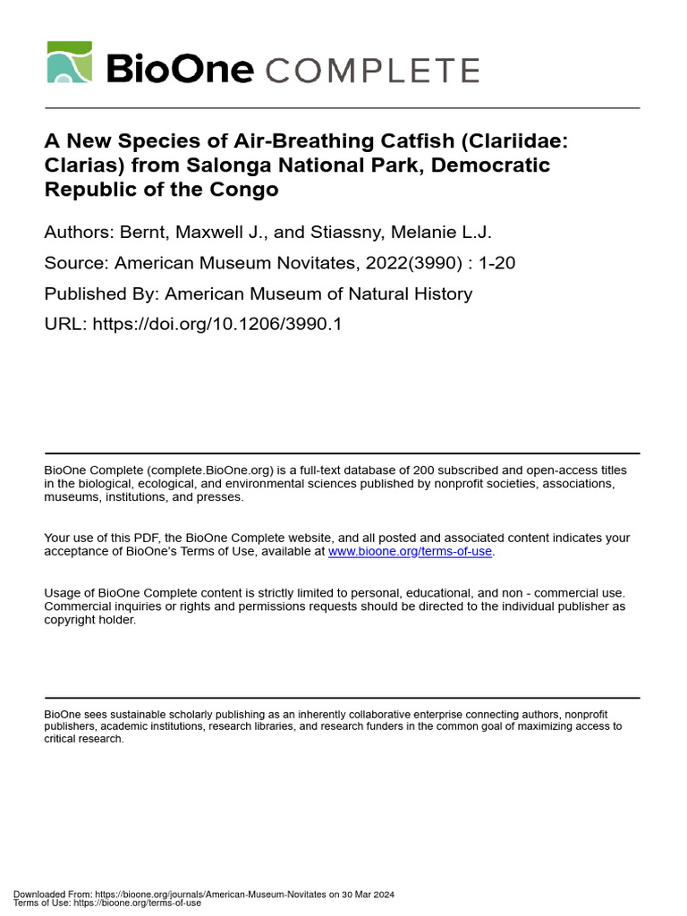 A New Species of Air-Breathing Catfish (Clariidae: Clarias) From ...