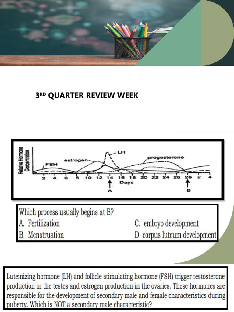 3RD Quarter Review Week | PDF