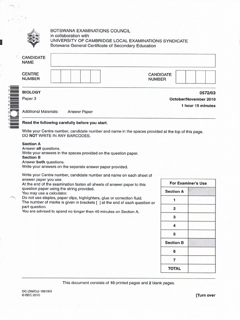 2010 p3 - 103034 | PDF