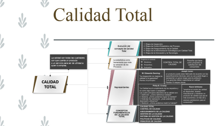 Mapa Conceptual de Calidad Total | PDF | Calidad (comercial) | Evaluación