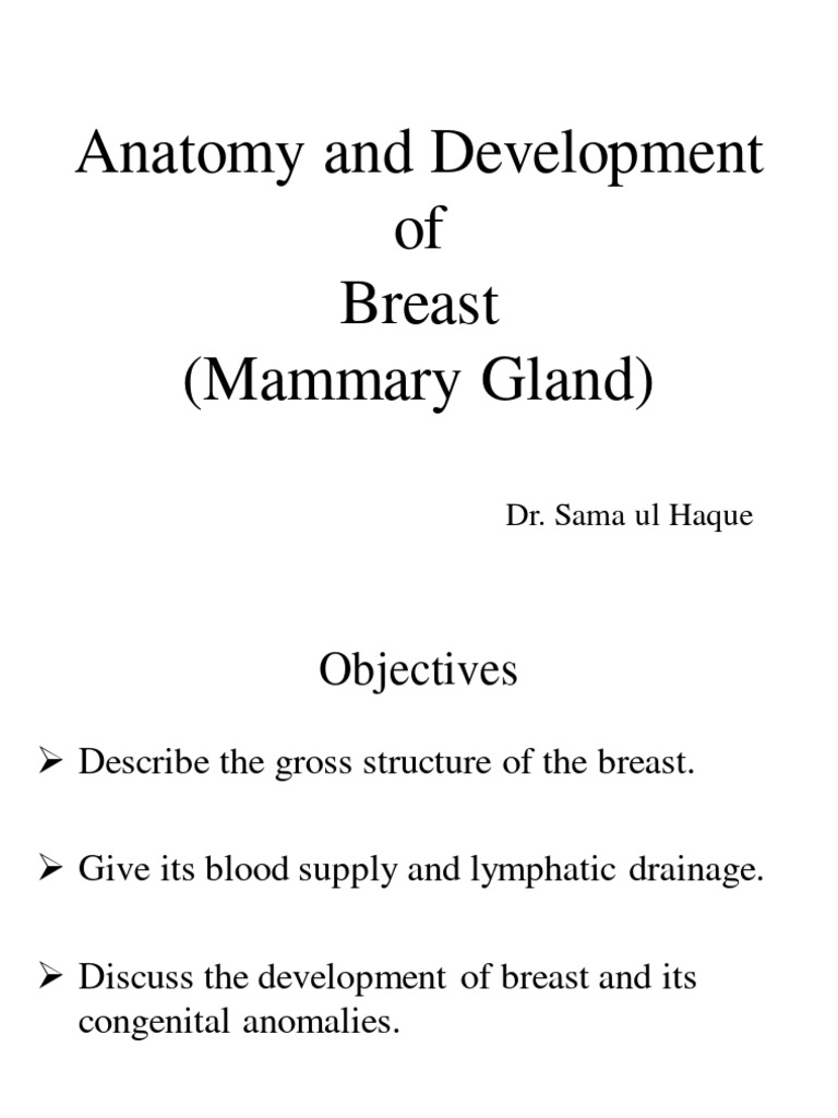 Anatomy Development of Breast | PDF | Breast | Nipple