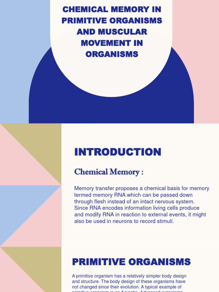 Chemical Memory in Primitive Organisms and Muscular Movement in ...