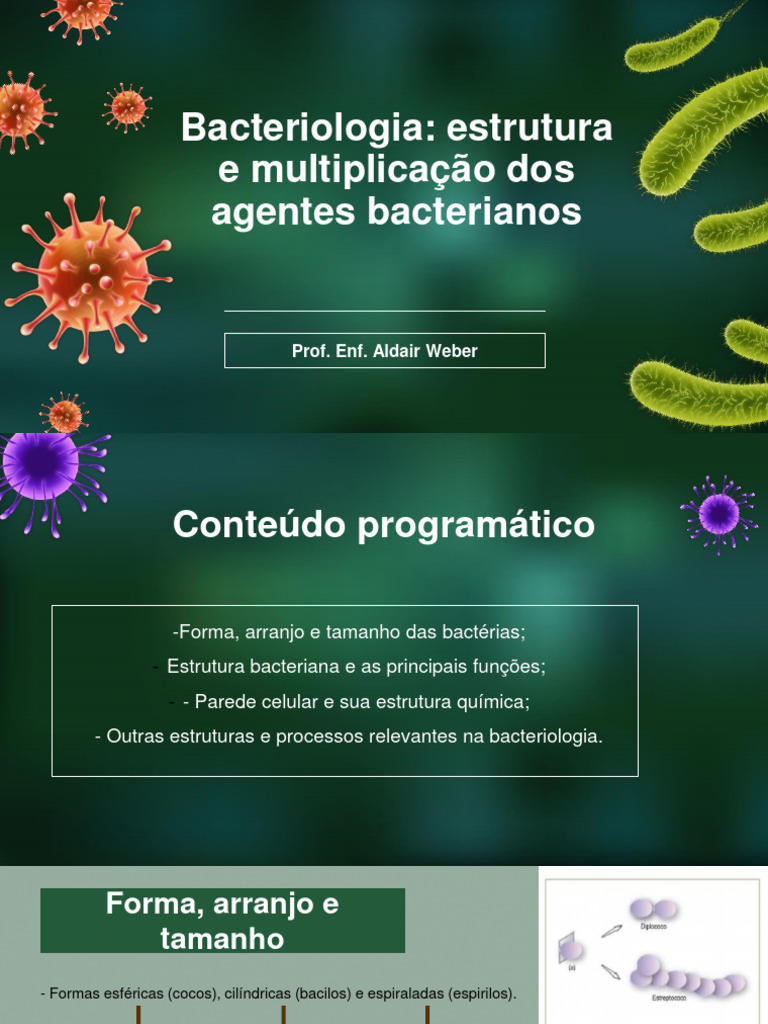 Bacteriologia Aula | PDF | Bactérias | Célula (Biologia)
