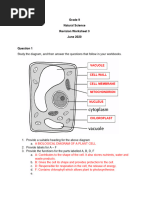 Grade 9 Cell Diagram Worksheet | PDF