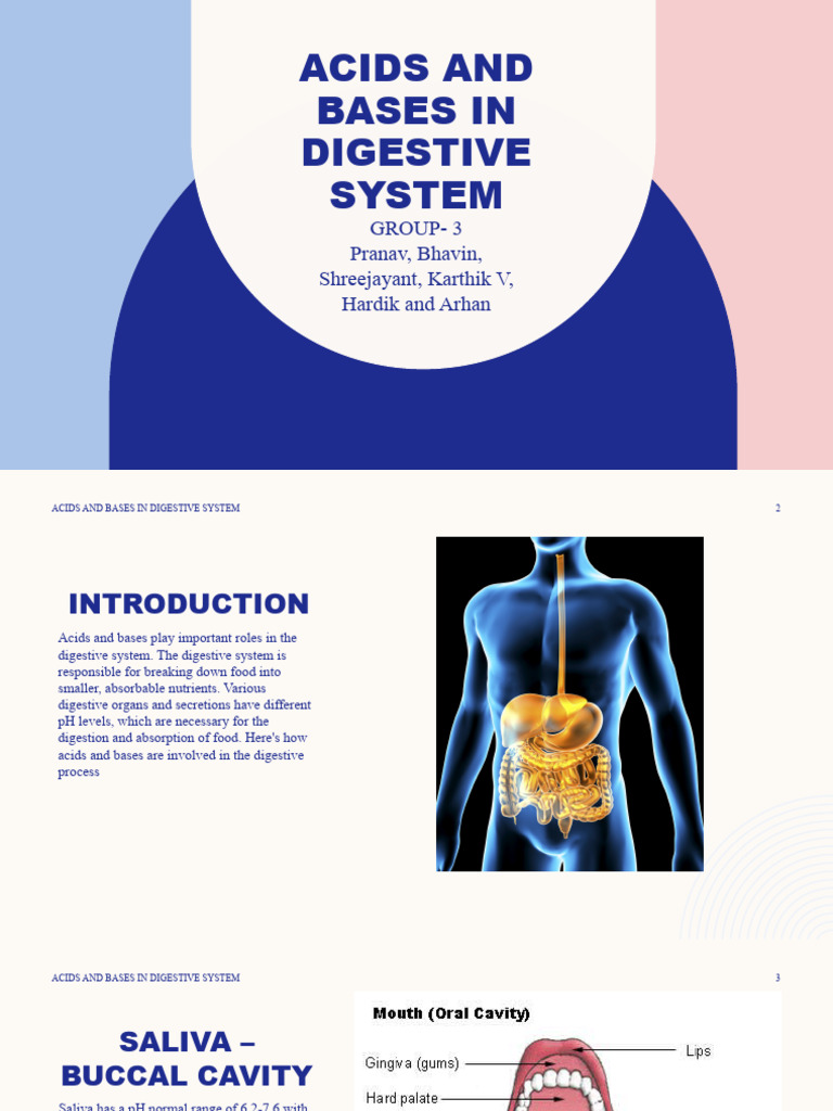 Acids and Bases in Digestive System | PDF | Digestion | Stomach